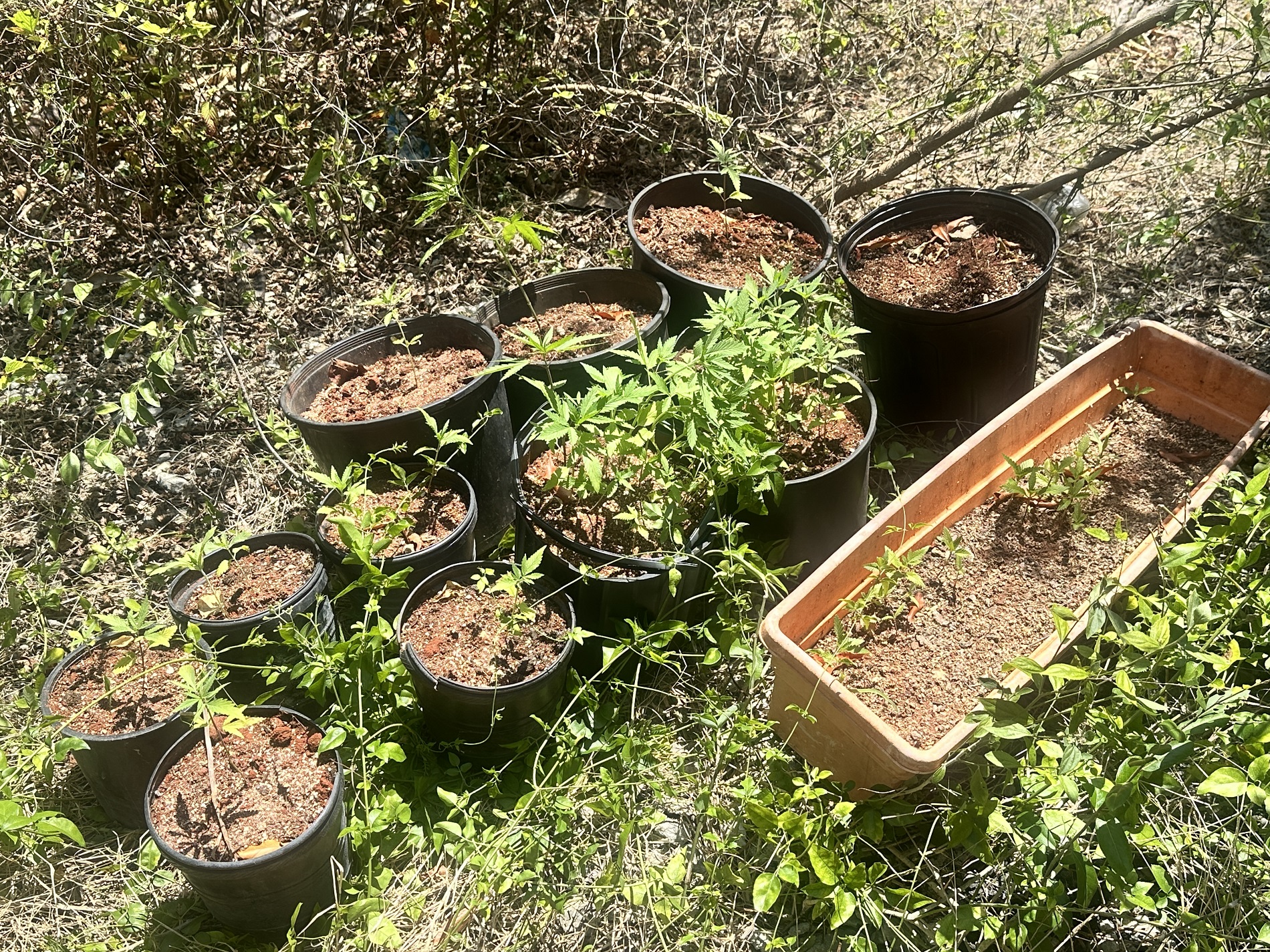 RCIPS Officers Conduct Day of Action in Cayman Brac